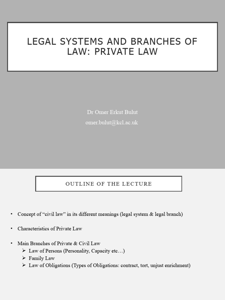 Understanding Private Law and Civil Law | PDF | Offer And Acceptance | Tort