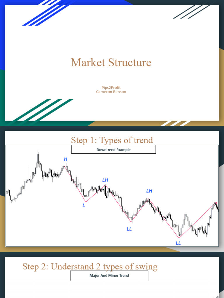 Market Structure Guide | PDF | Business | Private Sector