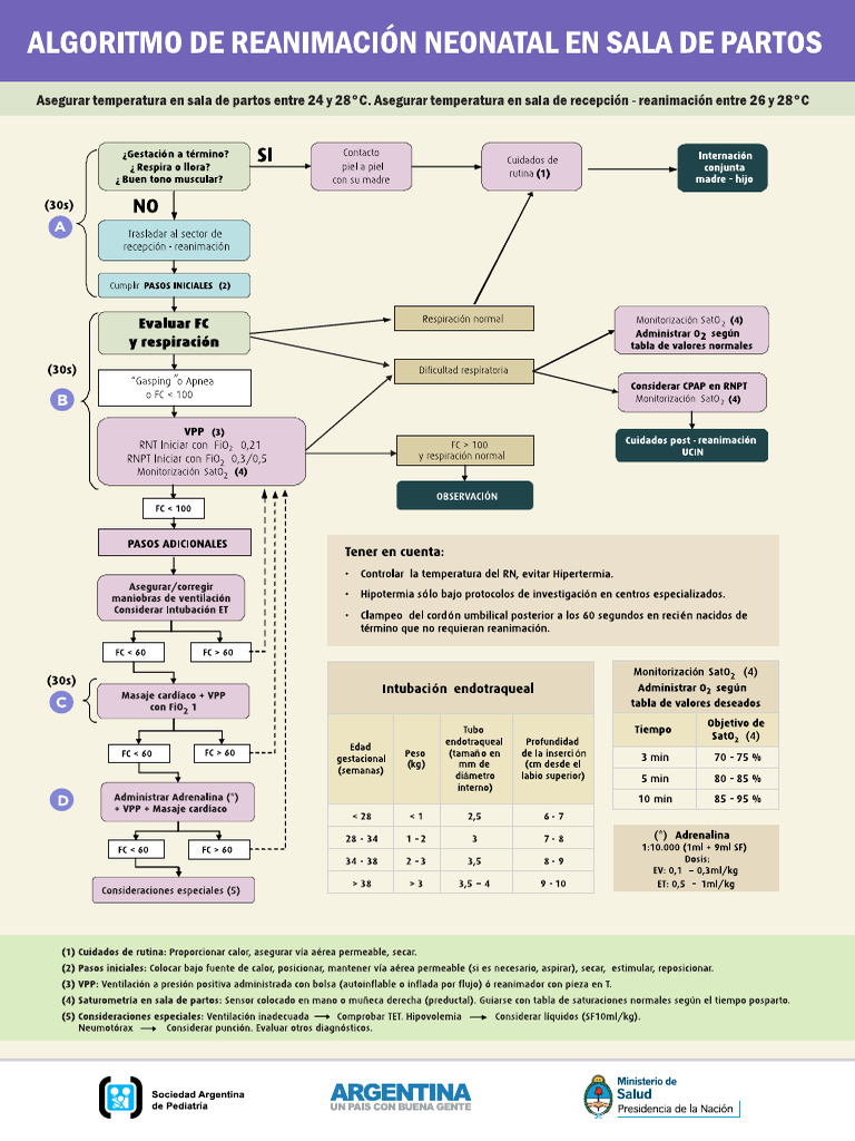 Alg. RCP Neonatal | PDF