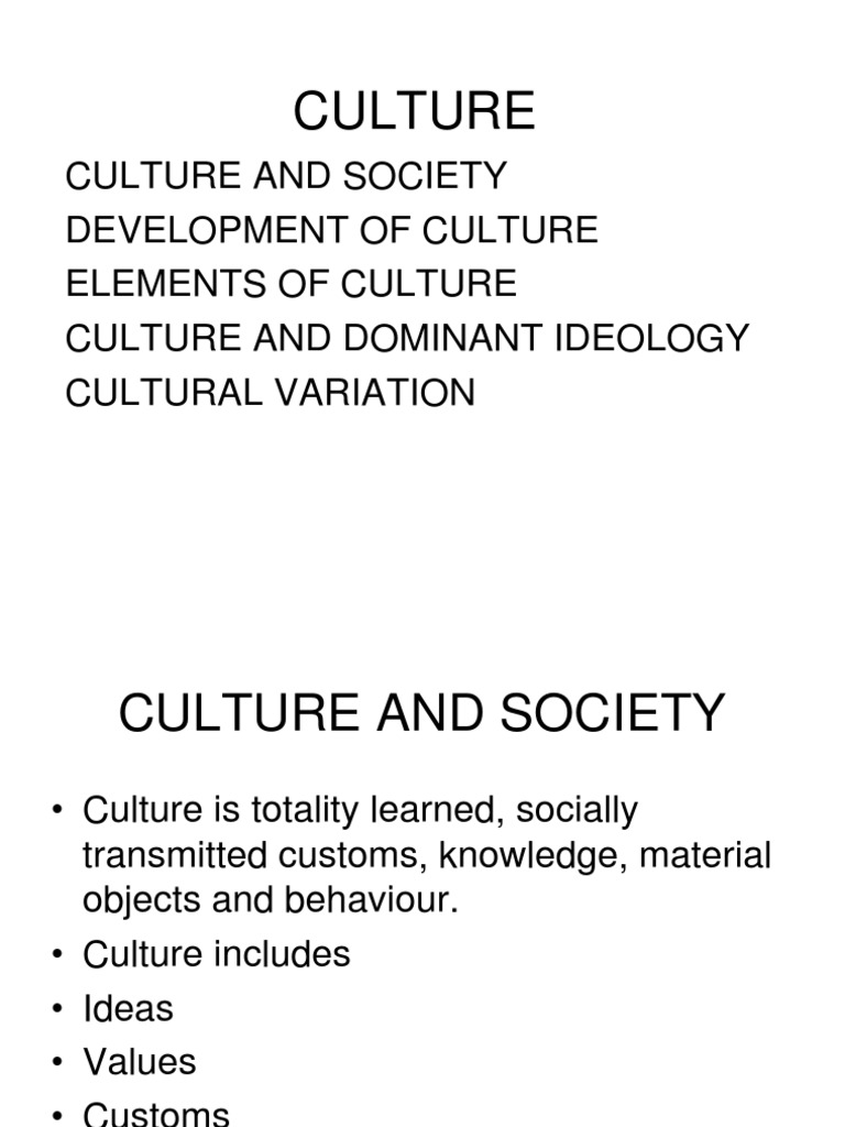 Understanding Culture and Society Elements | PDF