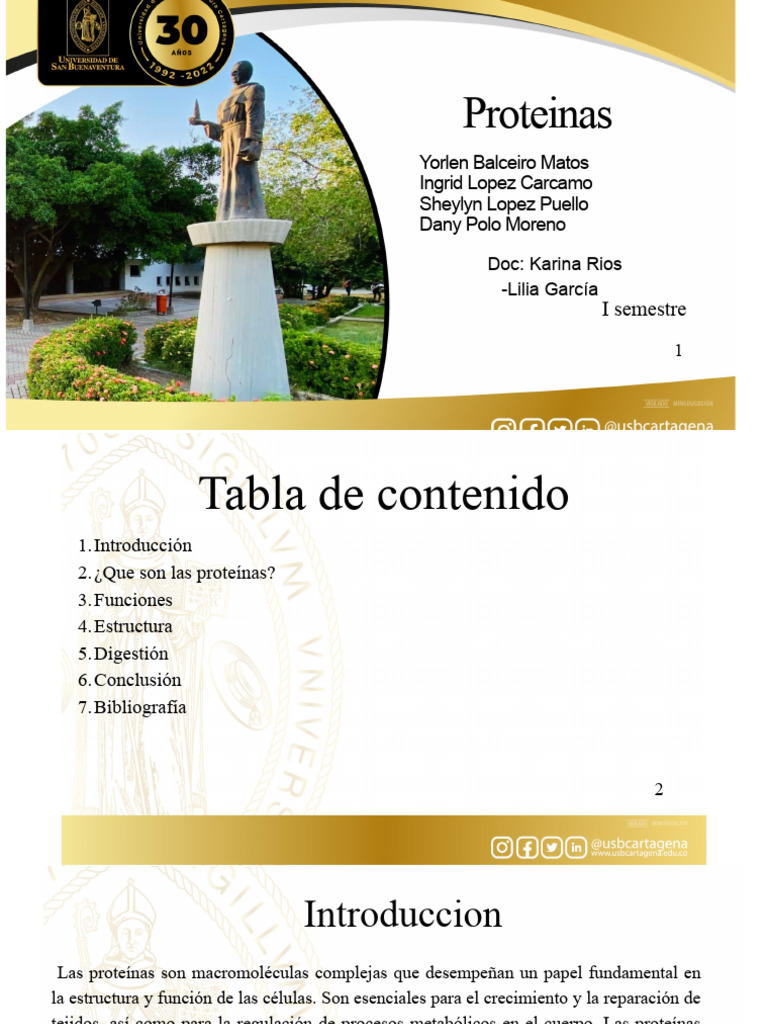 Proteinas | PDF | Proteínas | Aminoácidos