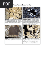 Crustiform and Quartz Textures Analysis | PDF | Quartz | Minerals