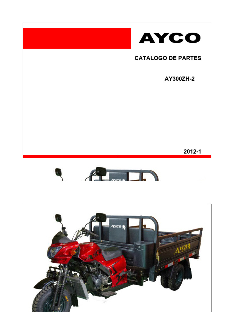 Catálogo de Partes Motocarro Ayco 300 | PDF | Valve | Piston