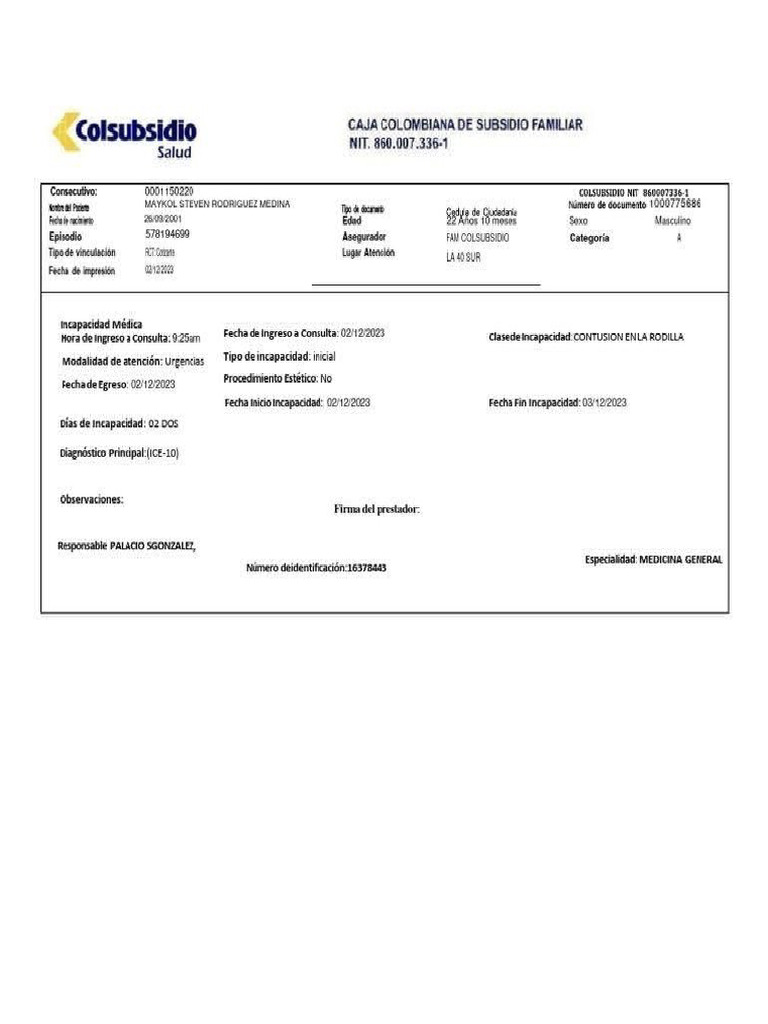 Documento Laura | PDF