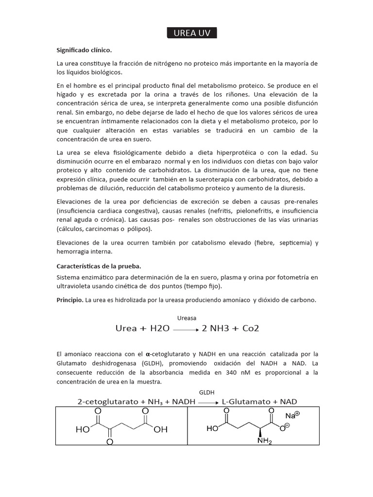 Prueba de Urea: Métodos y Características | PDF | Urea | Amoníaco