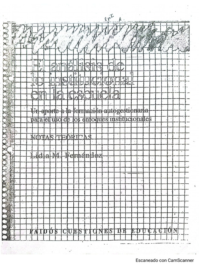 Concepto de Institución - Lidia Fernandez | PDF