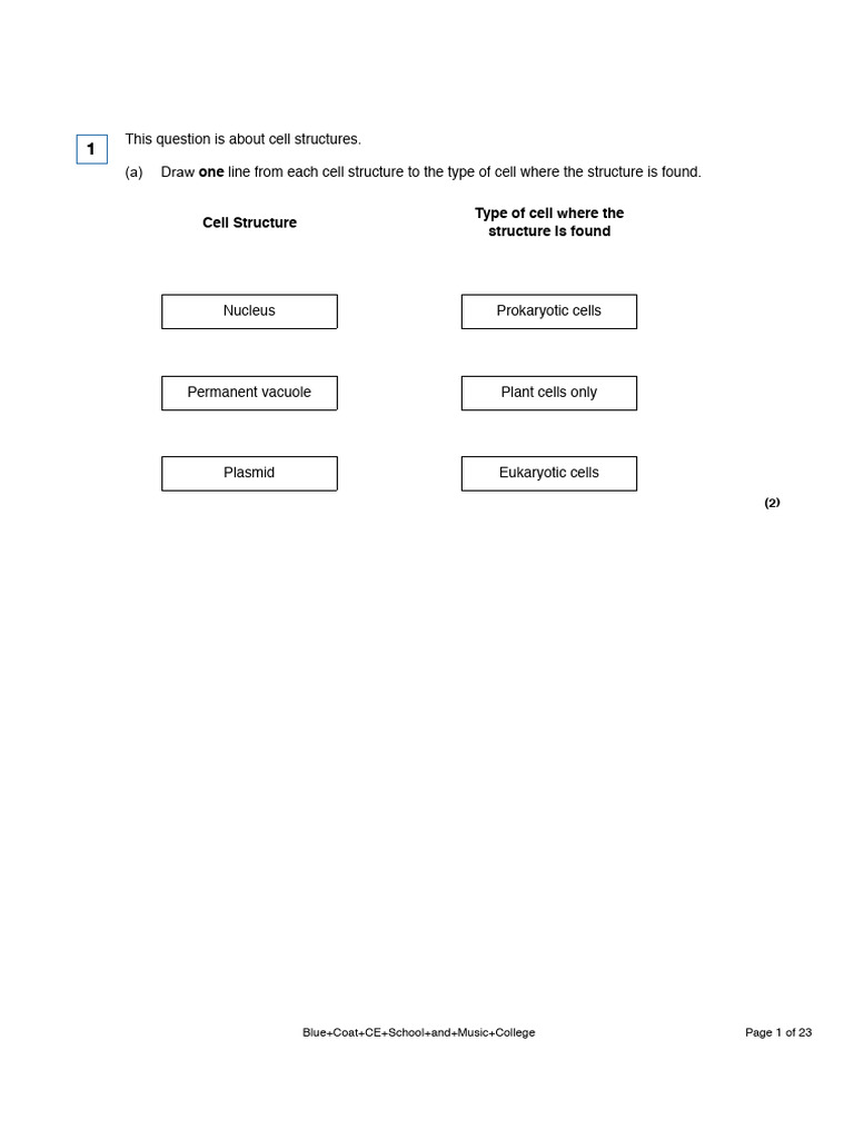 This Question Is About Cell Structures. (A) Dra One Line From Each Cell ...