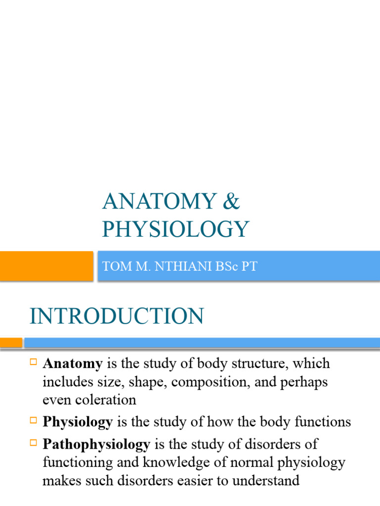 Anatomy & Physiology | PDF | Epithelium | Cell Membrane