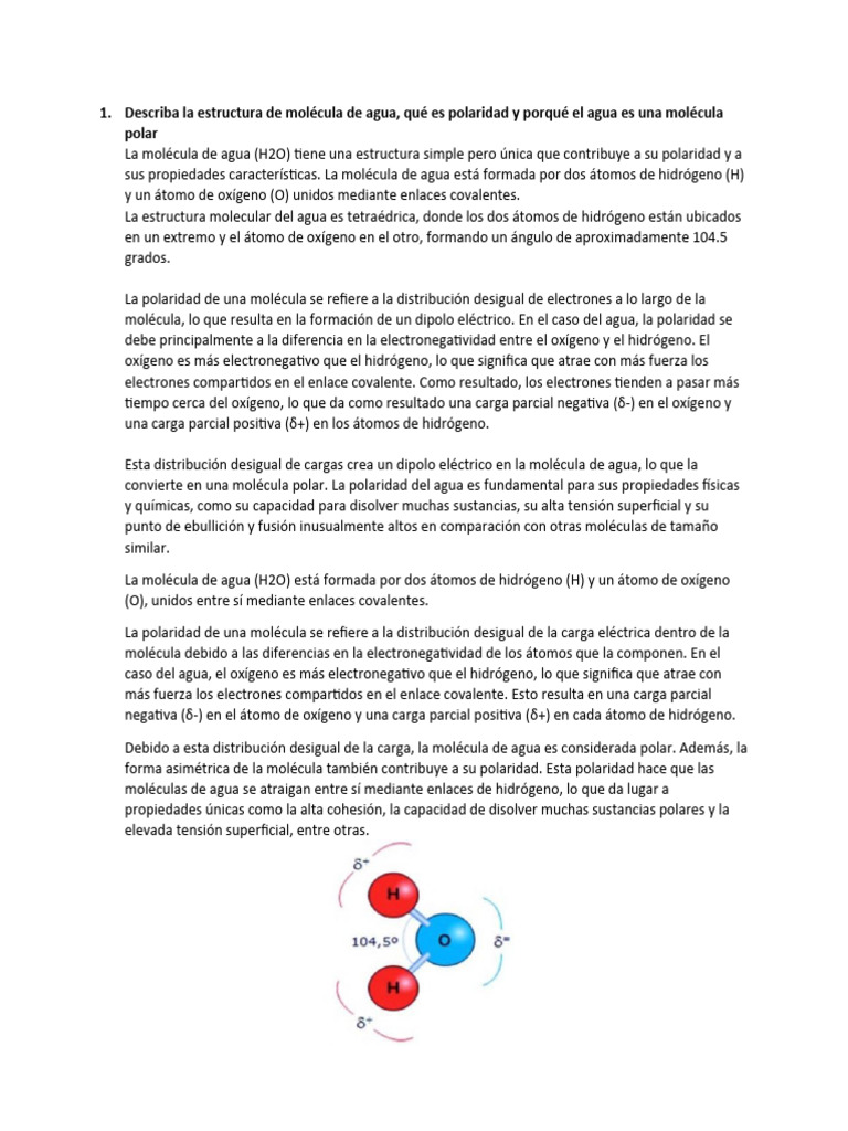Agua y Polaridad | PDF | Polaridad química | Propiedades del agua