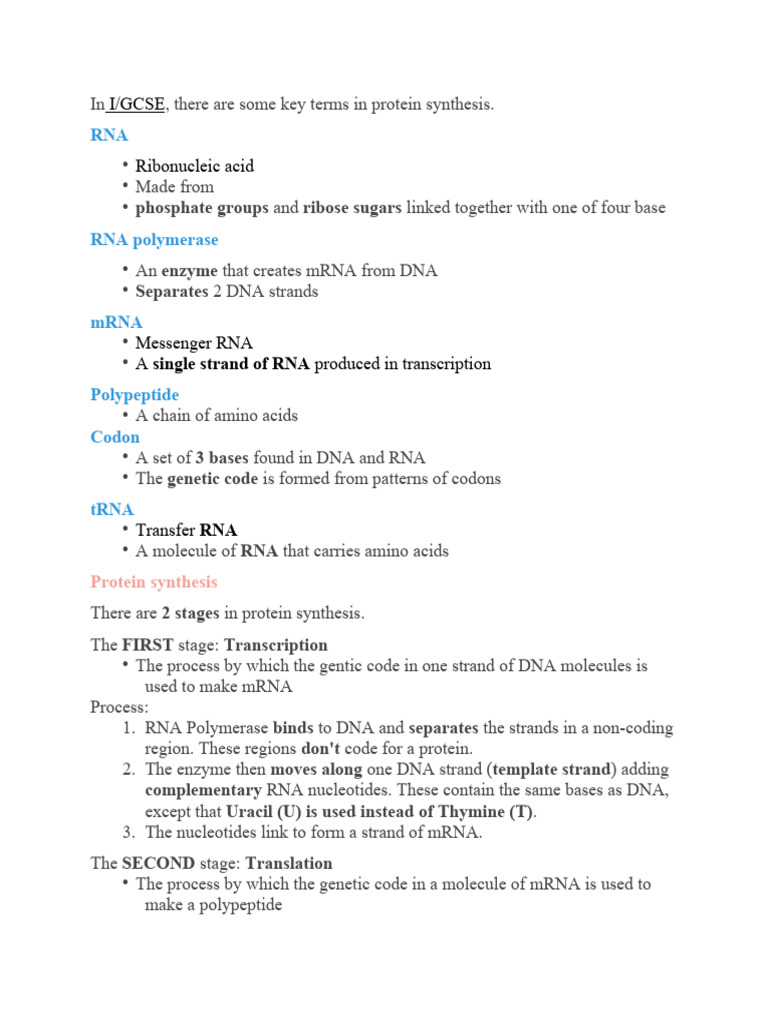 Protein synthesis, brief note | Download Free PDF | Rna | Messenger Rna