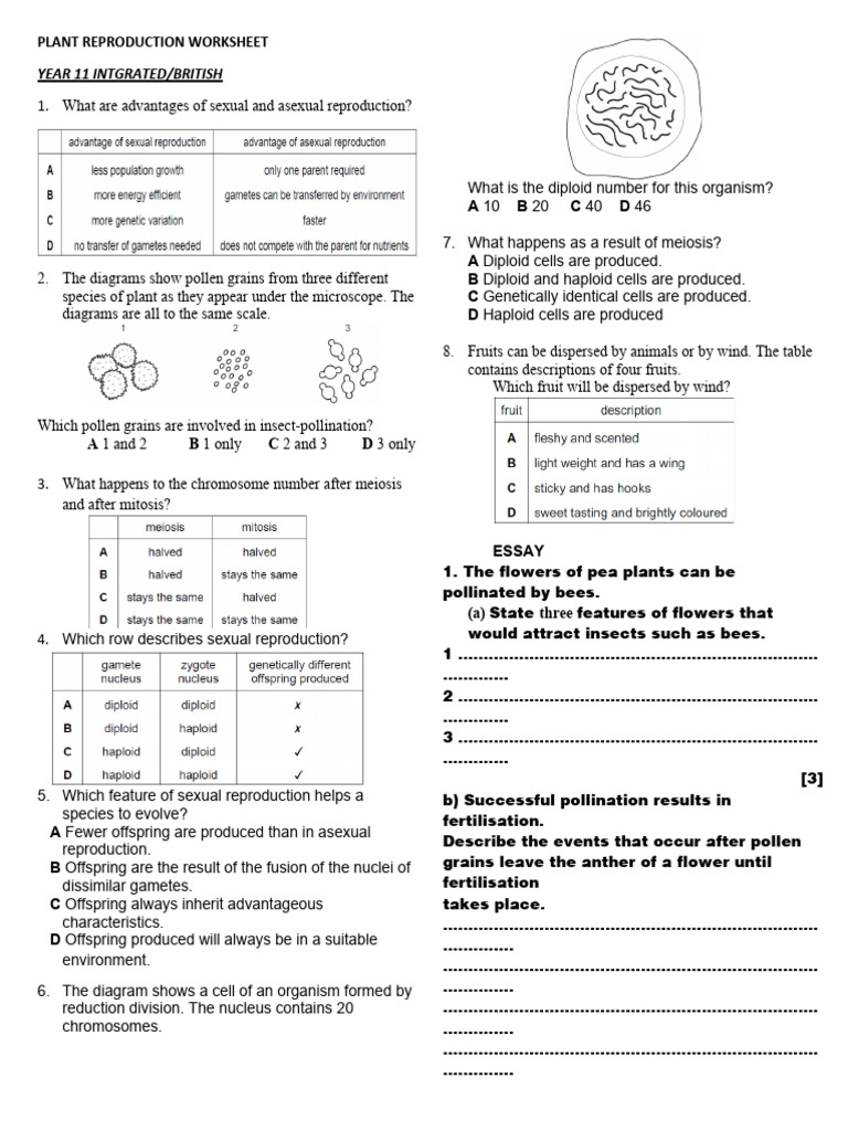 HUMAN REPRODUCTION WORKSHEET- IGCSE past papers | PDF | Sexual ...