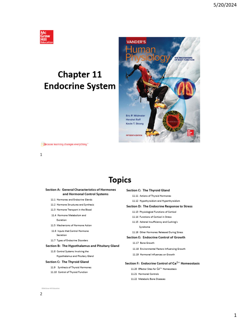 ch11-human-endocrine-system-vanders-human-physiology-15e-chap011-ppt | PDF | Adrenal Gland | Hormone