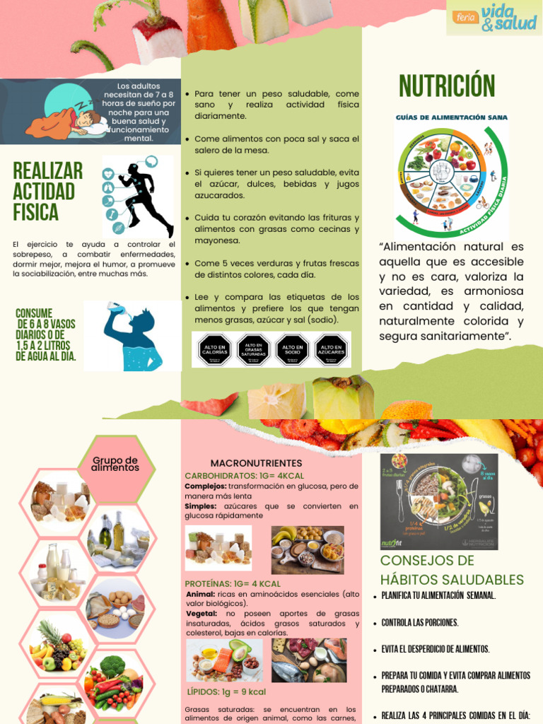 Triptico Nutrición | PDF | Alimentos | gordo