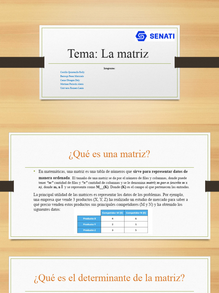 Matriz | PDF | Matriz (Matemáticas) | Determinante