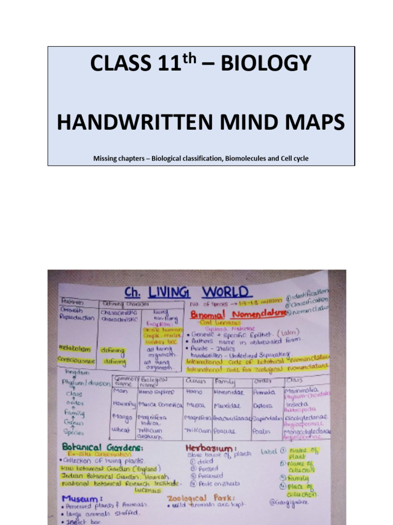 Class 11 Biology - Handwritten Mind Maps | PDF | Science & Mathematics