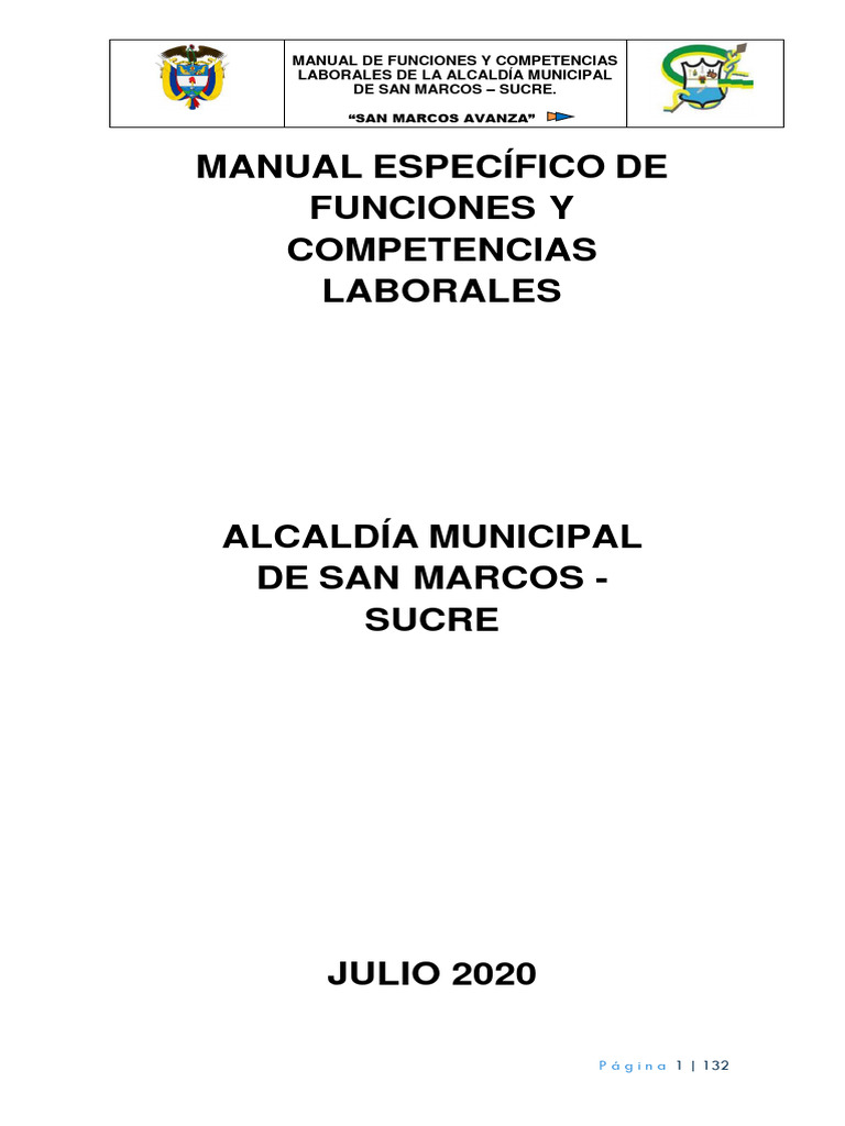 Manual Especifico de Funciones y Competencias Laborales 2020 | PDF | Planificación | Experiencia
