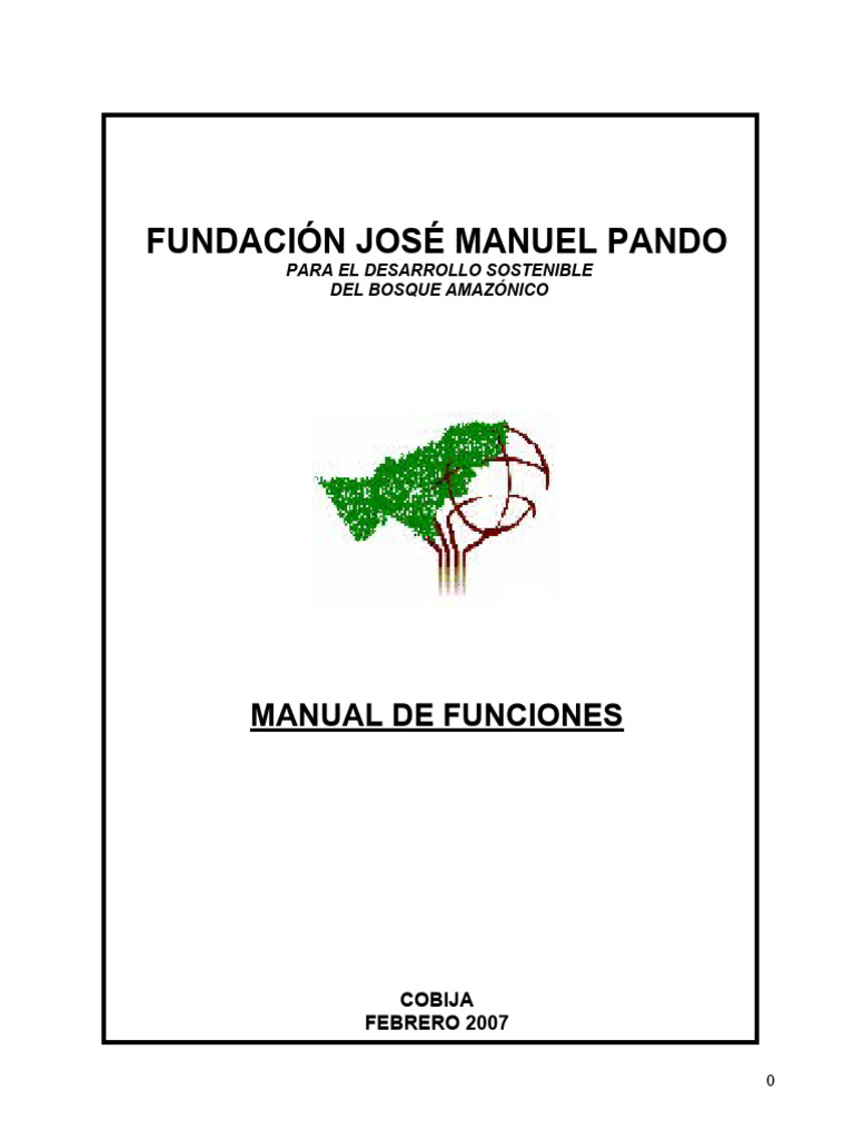 Manual de Funciones Fundacion Jose Manuel Pando | PDF | Contabilidad ...