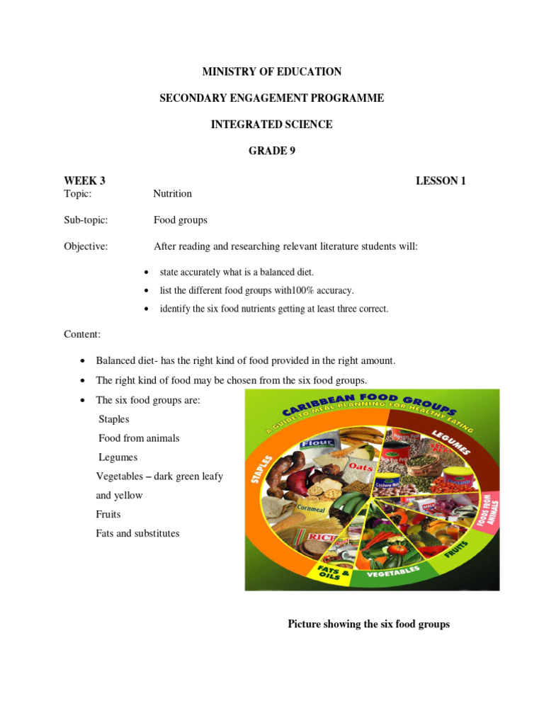 Food Groups | PDF | Foods | Nutrients