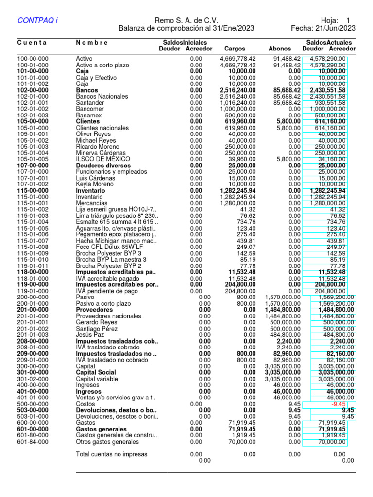 Balanza de Comprobacion Con Movimientos | PDF