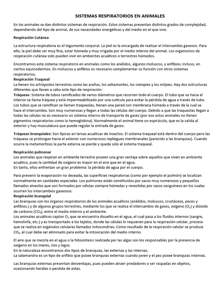 Sistemas Respiratorios en Animales | PDF | Branquia | Respiración