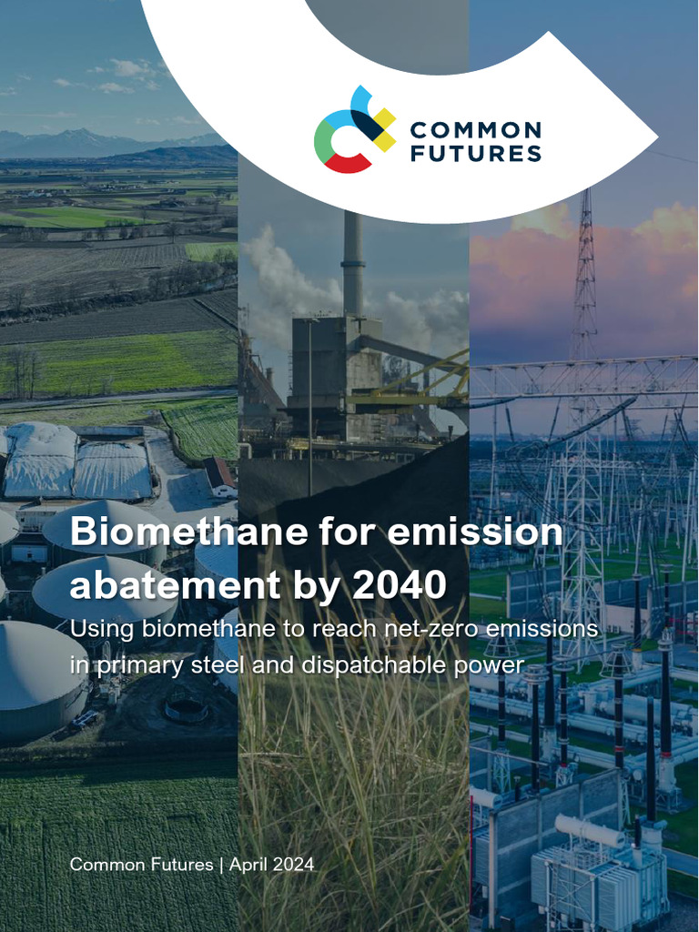 Biomethane For Emission Abatement by 2040 1713860602 | PDF | Biogas ...