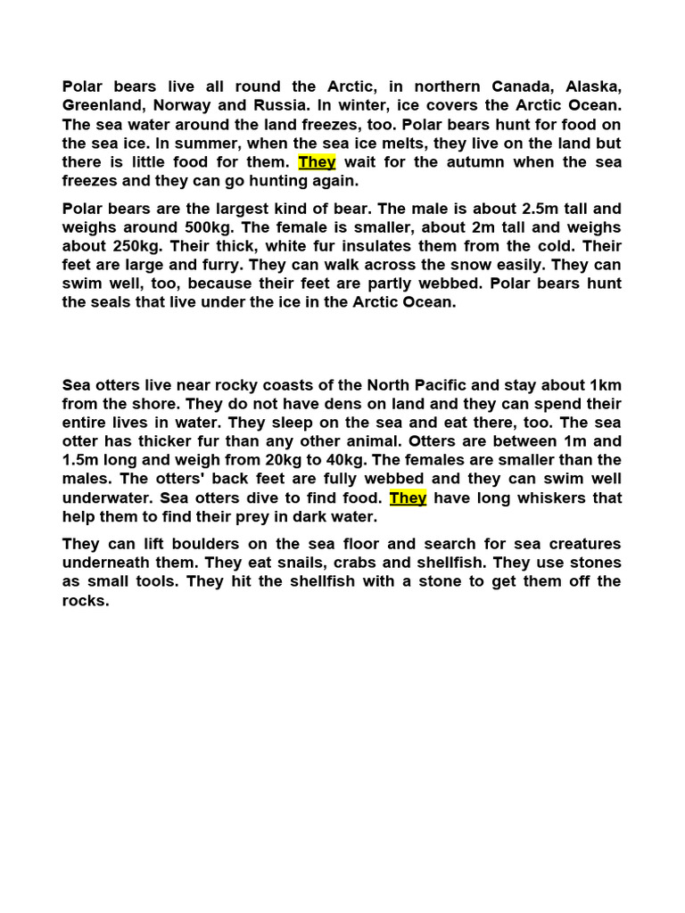 Polar Bears and Sea Otters Overview | PDF | Polar Bear | Otter