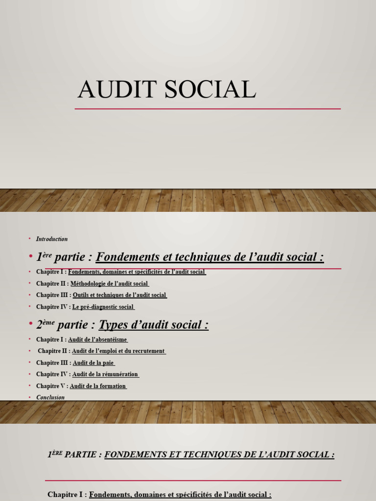 Audit Social | PDF | Audit | Risque