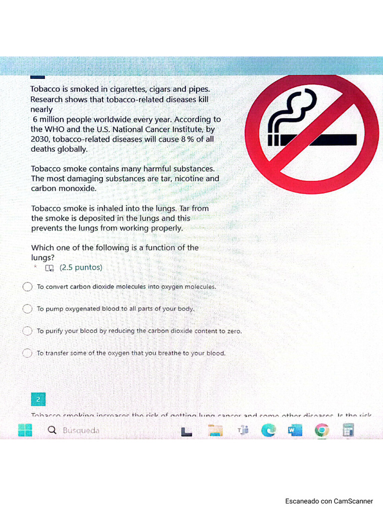 Unit 3 Extra Activities | PDF