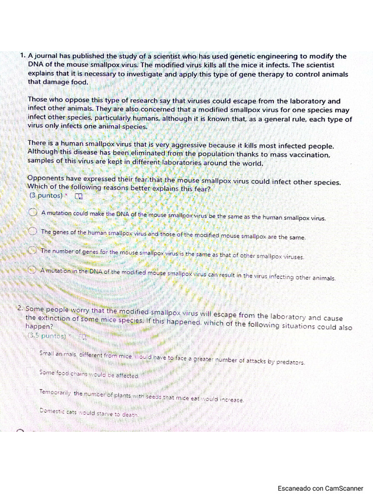 Unit 8 Extra Activities | PDF