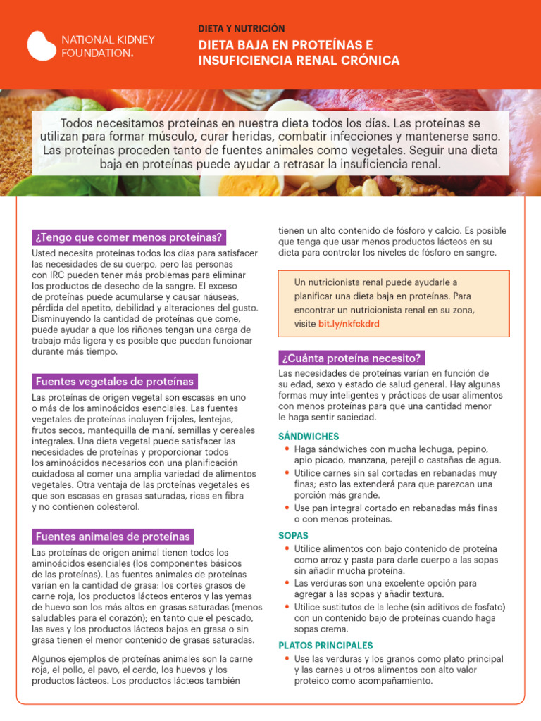 Low Protein Diet and Ckd Spanish | PDF | Alimentos | Dieta