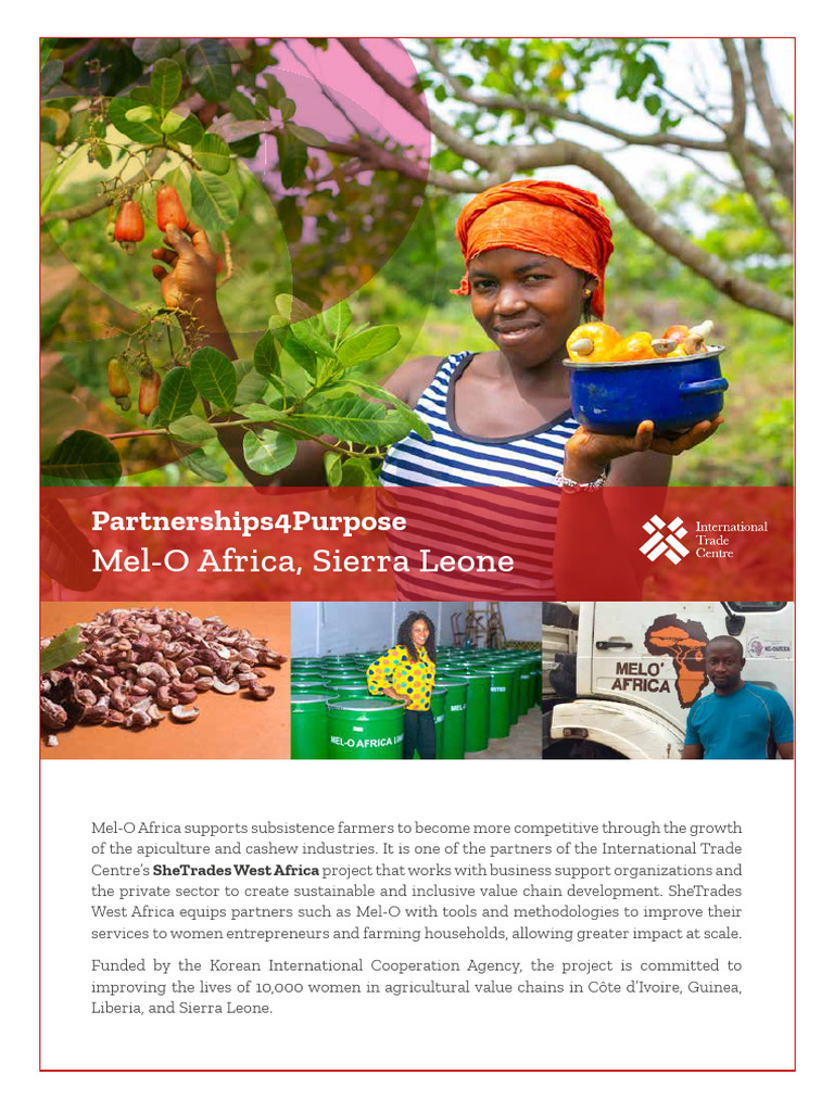 Empowering Women in Sierra Leone's Cashew Industry | PDF | Agriculture ...