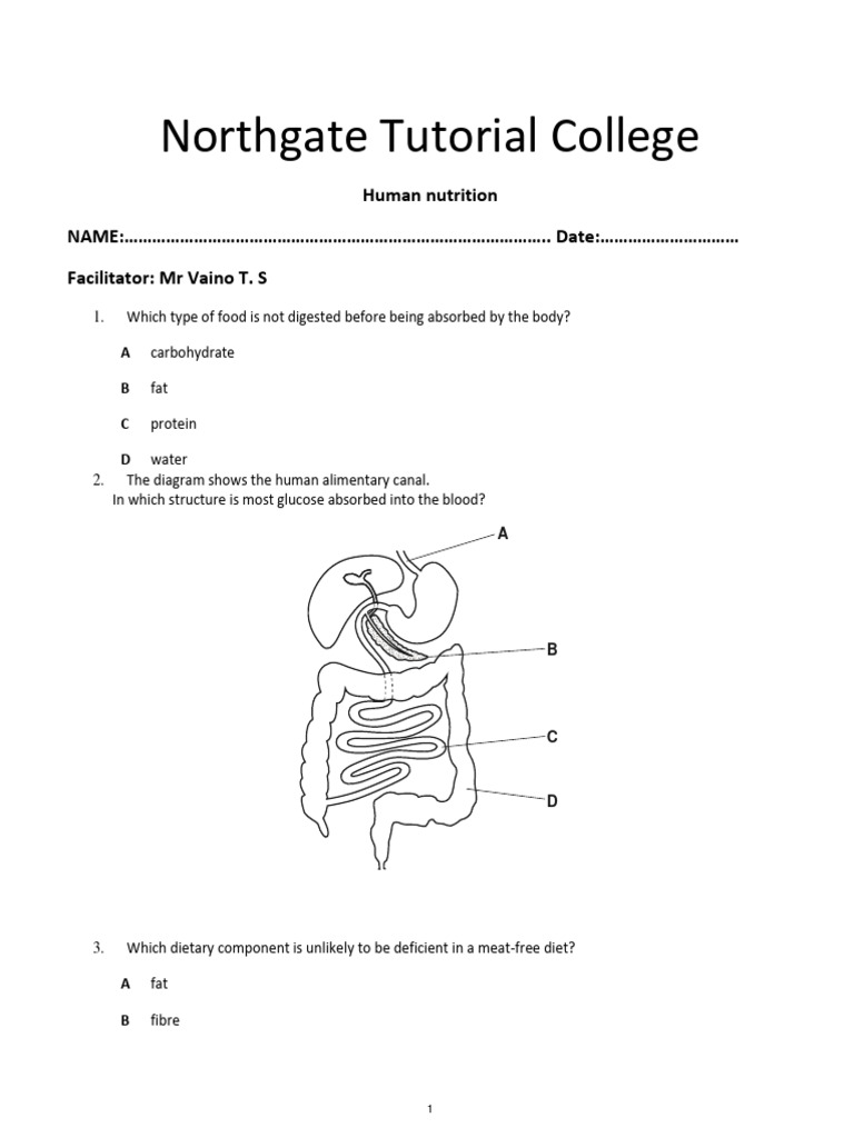 Human Nutrition Quiz and Discussion Guide | PDF | Digestion ...