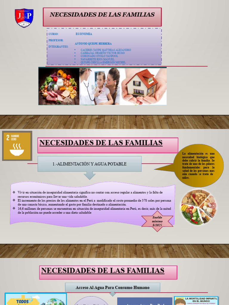 Necesidades Familiares en Perú | PDF | Agua | Perú