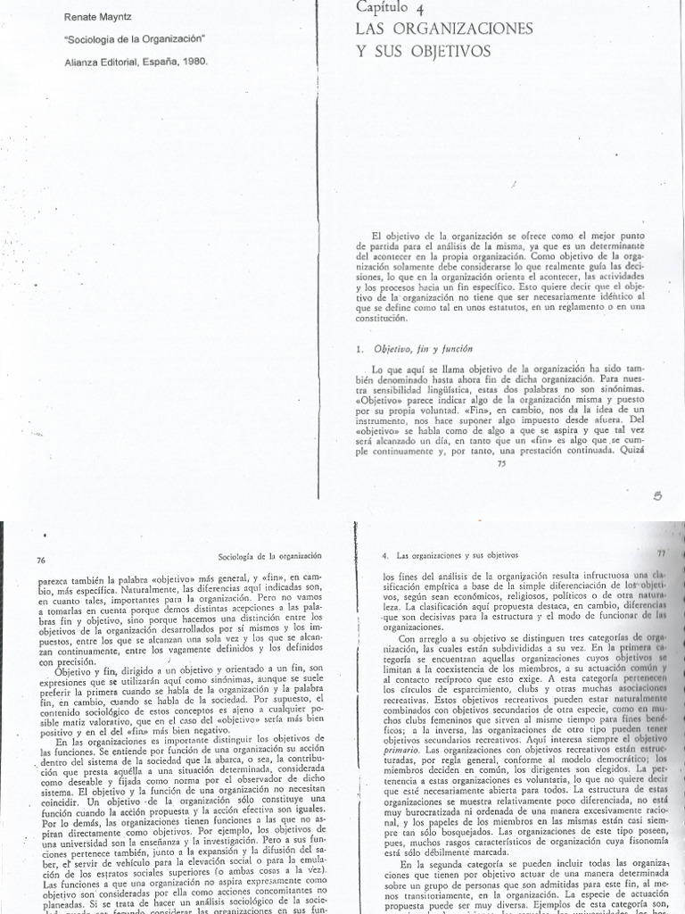 Mayntz Cap4 Objetivos | PDF