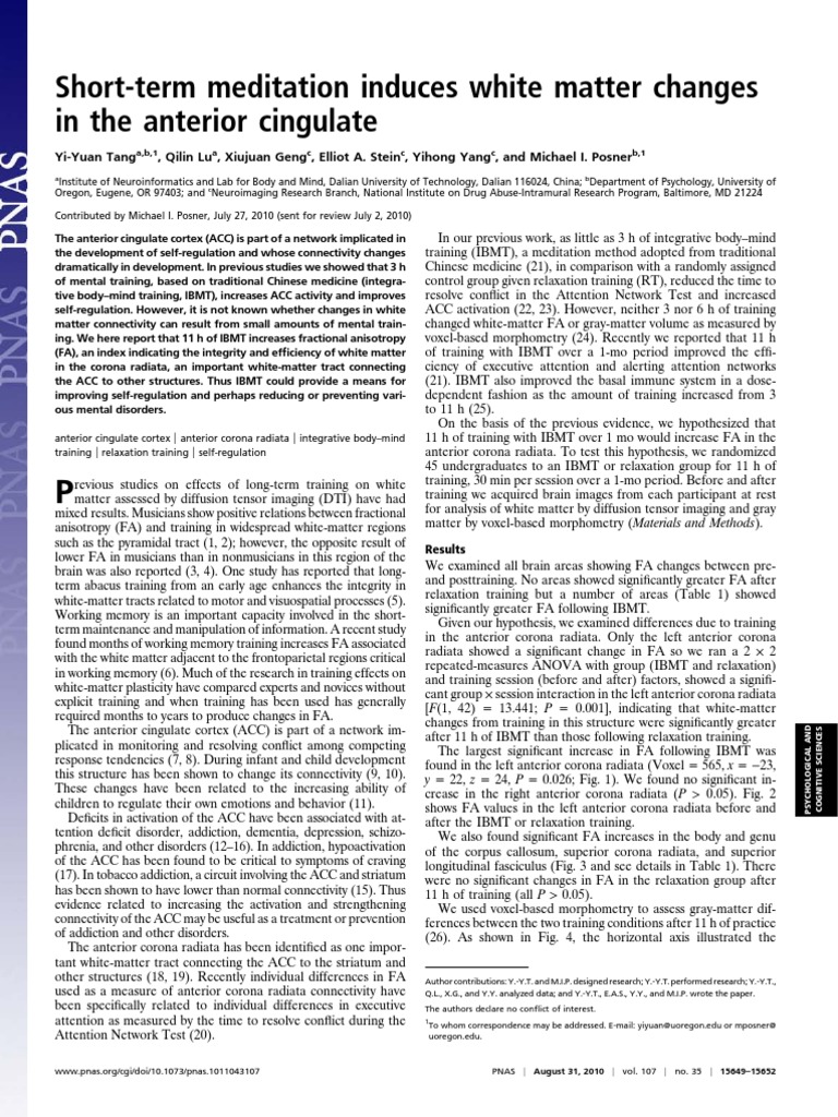 Meditation Increase Neuron | PDF | Cingulate Cortex | Working Memory
