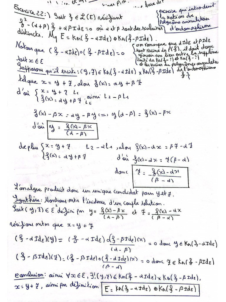 Intro Polynôme Animateur D'endomorphisme | PDF
