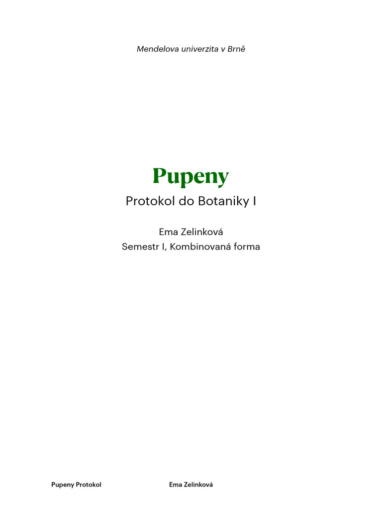 Protokol PupenyEZPDF | PDF