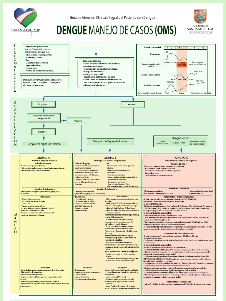 Diagrama De Controle Dengue Healthcare Professionals, Consum
