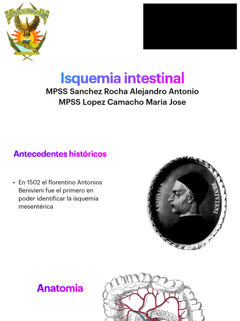 Isquemia Intestinal | PDF | Isquemia | Enfermedades y trastornos