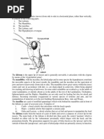 Insect Order Dichotomous Key | PDF | Insects | Arthropods