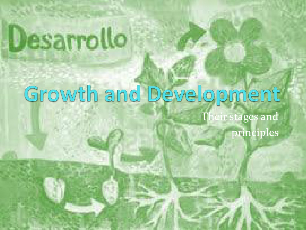 Growth and Development Overview | PDF | Child Development | Relationships