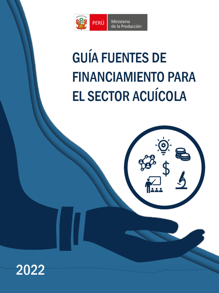 Guia Fuentes De Financiamiento Pdf Dinero Economias