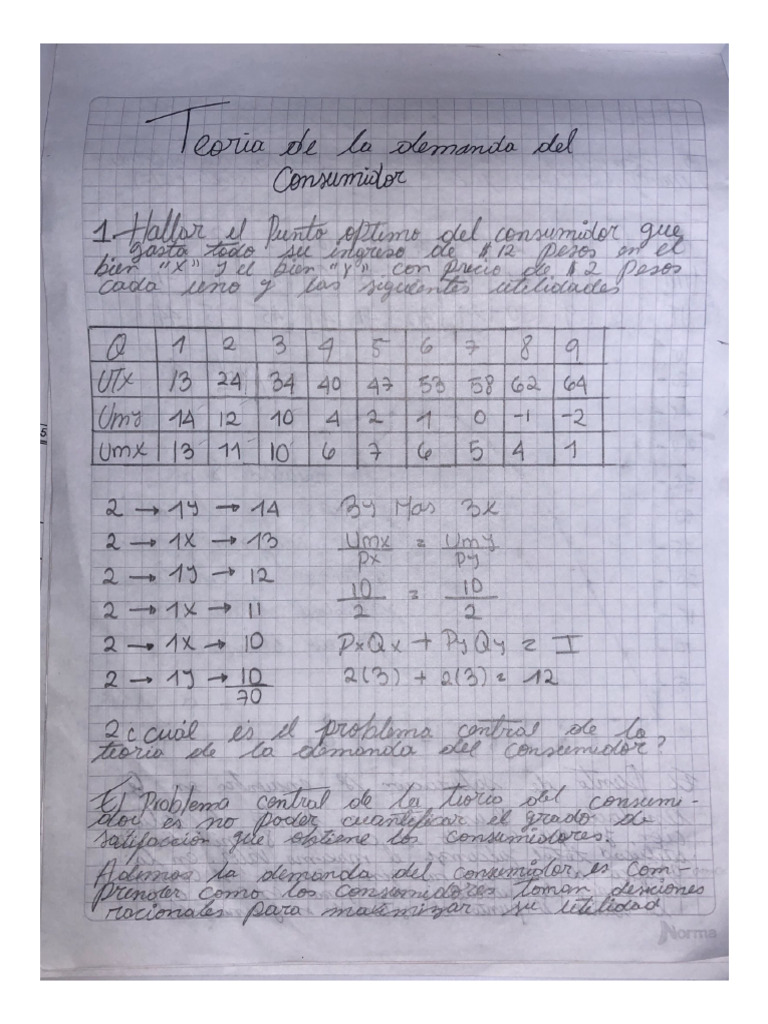 Actividad de Micro | PDF