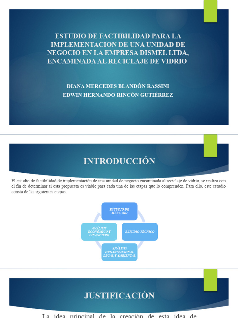 Estudio de Factibilidad para La Implementacion de Una Unidad de Negocio en La Empresa Dismel ...