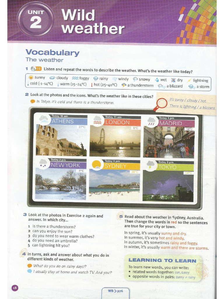 Past continuous-Wild Weather | PDF