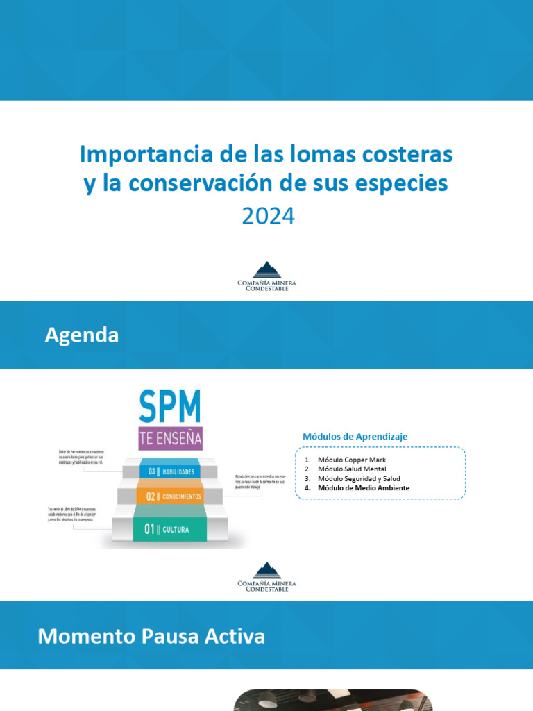 Importancia de Las Lomas Costeras | PDF | Ecosistema | Suelo