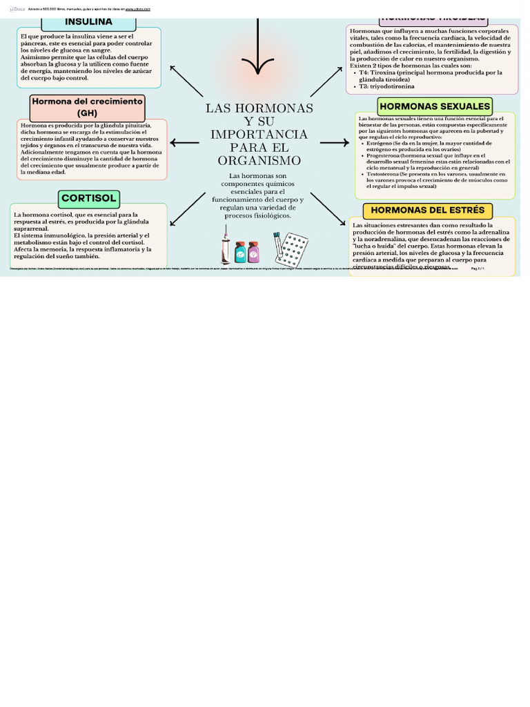 Tipos de Hormonas | PDF