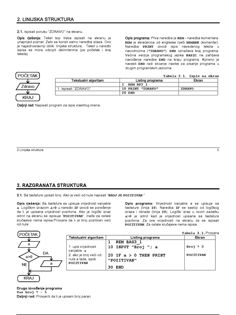 Basic Osnove Programiranja | PDF