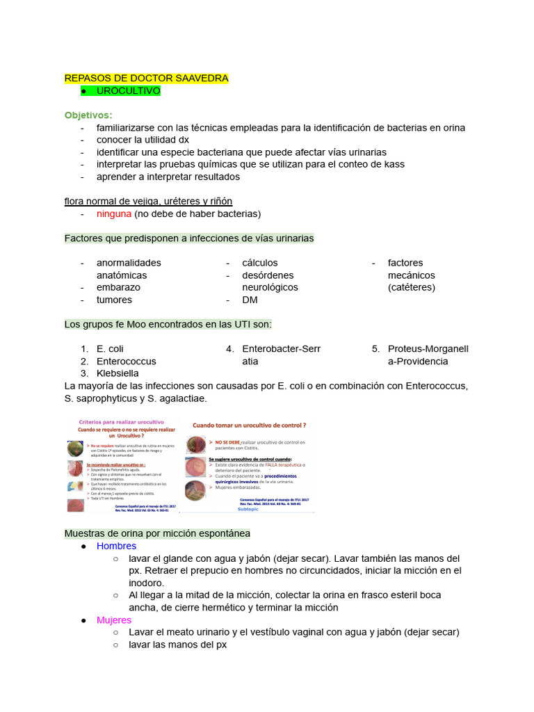 Repaso Final Lab de Micro | PDF | Hongo | Microbiología