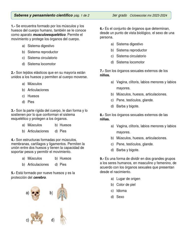 Examen 1 | PDF | Sistema musculoesquelético humano | Músculo